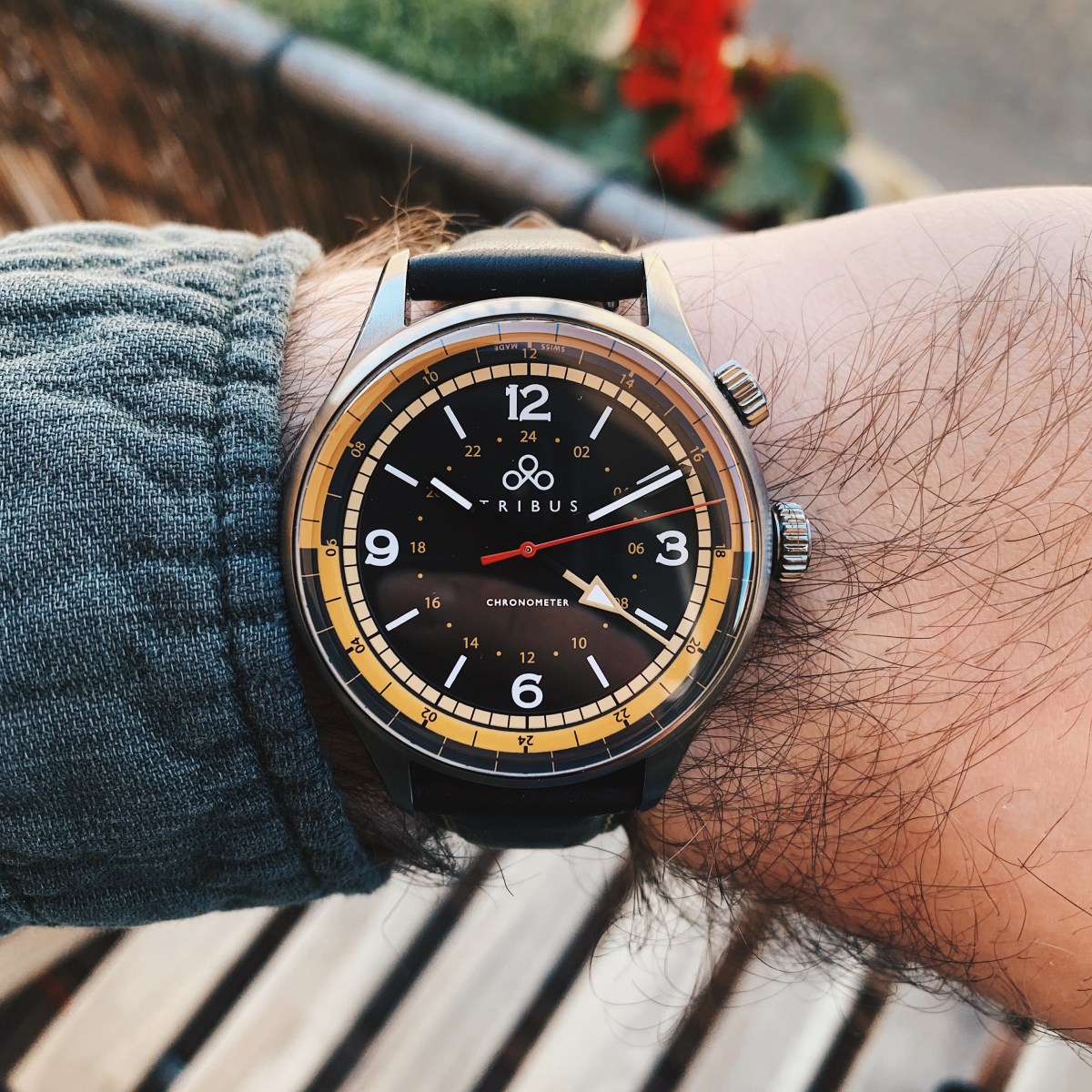 Tribus TRI-02 GMT 3 Timezone (Review) – COSC certified affordable watch ...